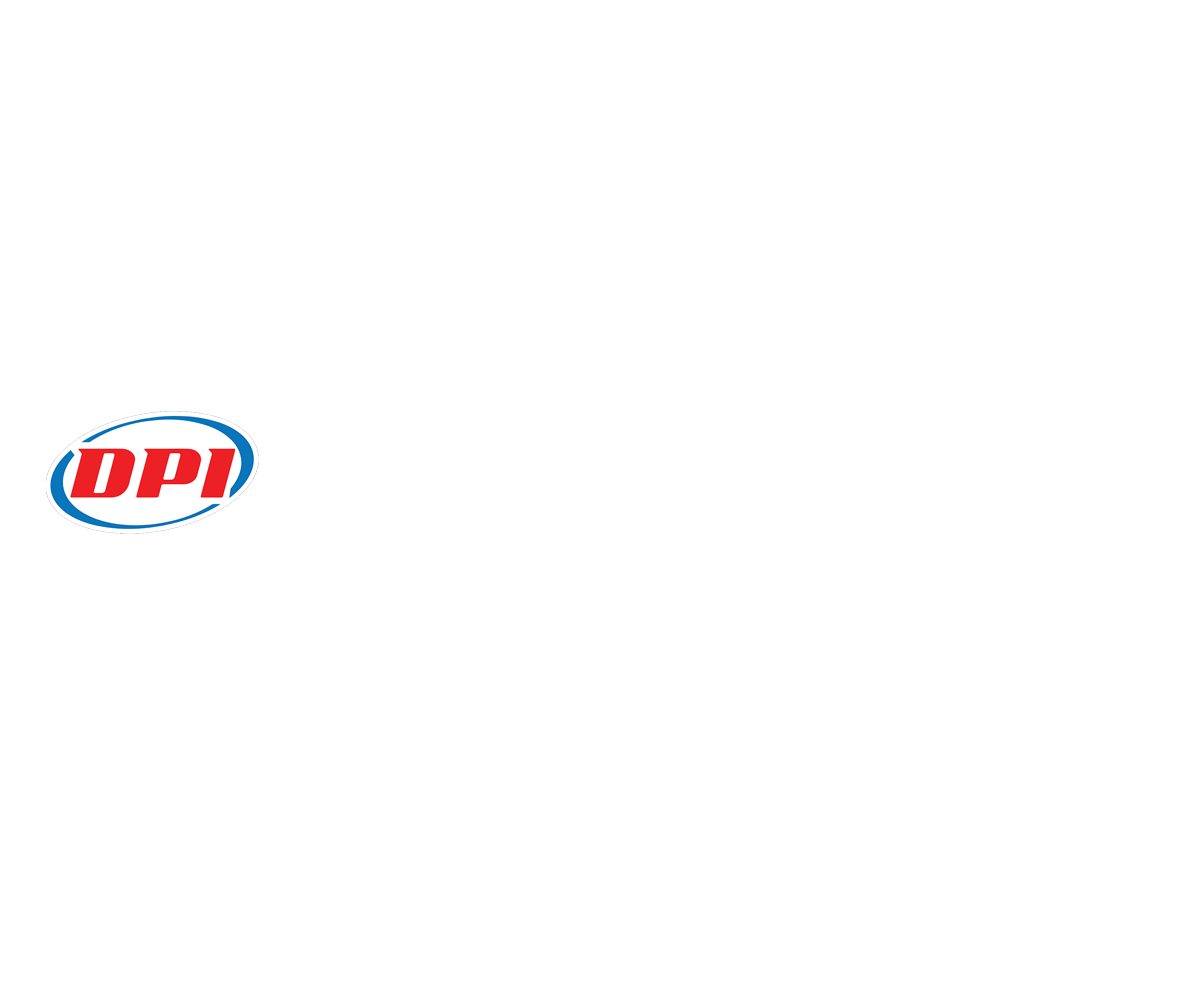 About Us - DPI Holdings Berhad